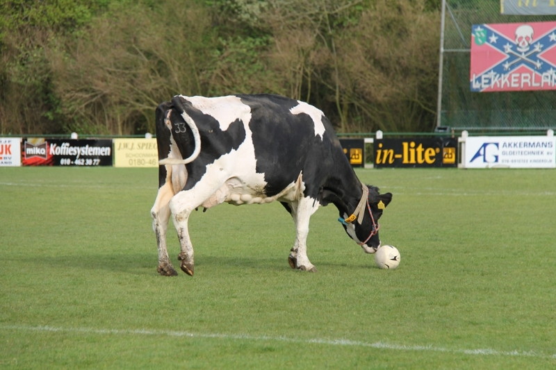 Contra returns tina - trainfas